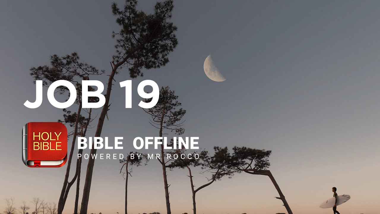 JOB 19 - Bible Offline - YouTube