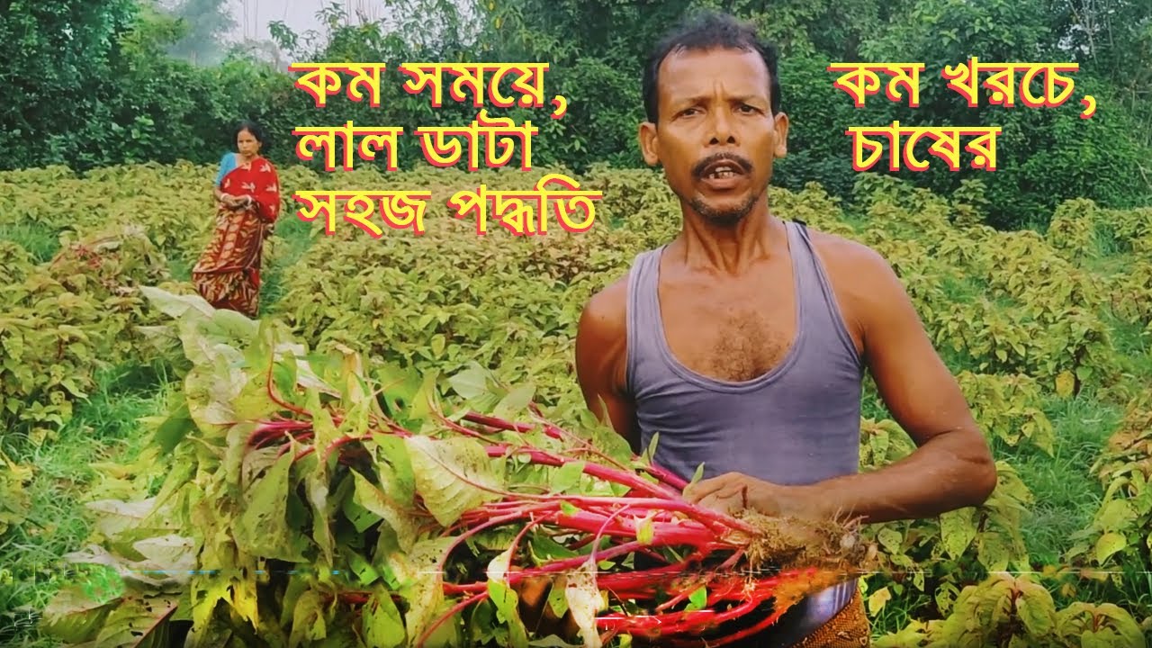 red data vegetable farming a simple method of at low cost and in less ...