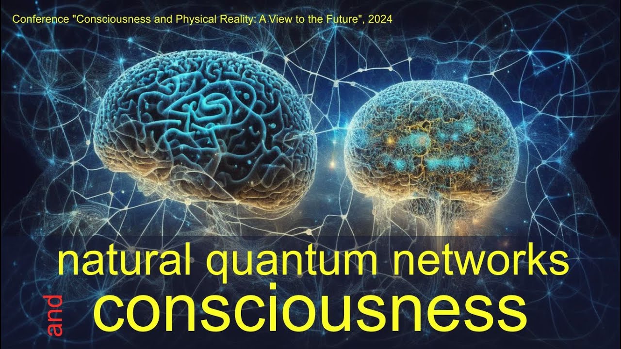 Biophysics of interactions between natural quantum networks and ...