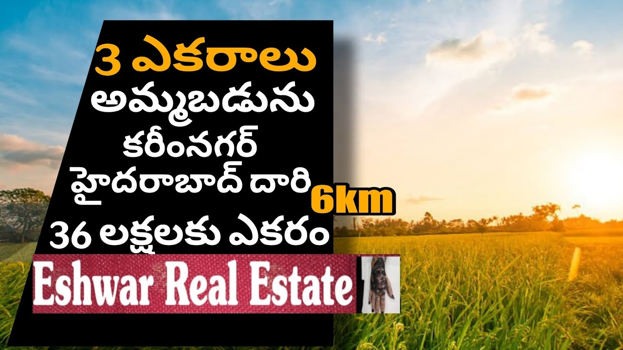 land for sale karimnagar 3 acres agricultural land - YouTube