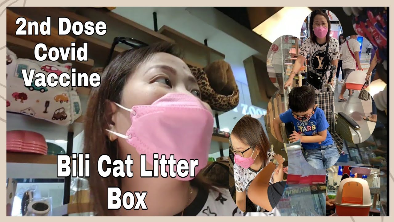 2nd Dose Pfizer Covid Vaccine| Bili Tayo Cat Litter Box - YouTube