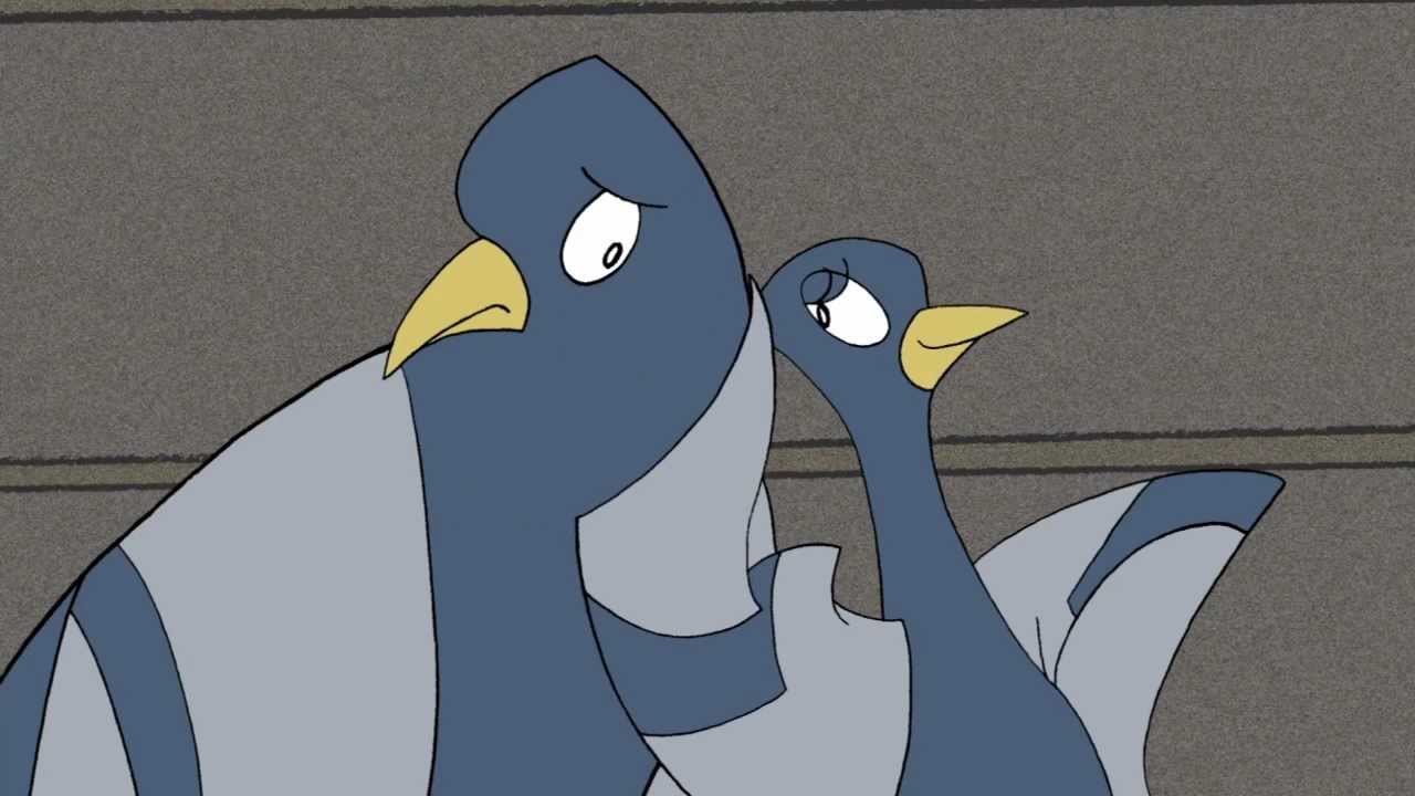 Pigeon Animation Scenes - YouTube