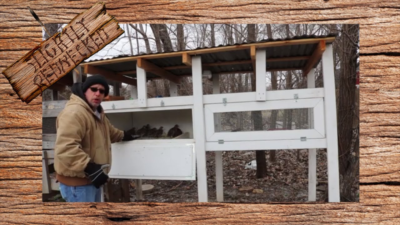 Keeping Predators Away - YouTube