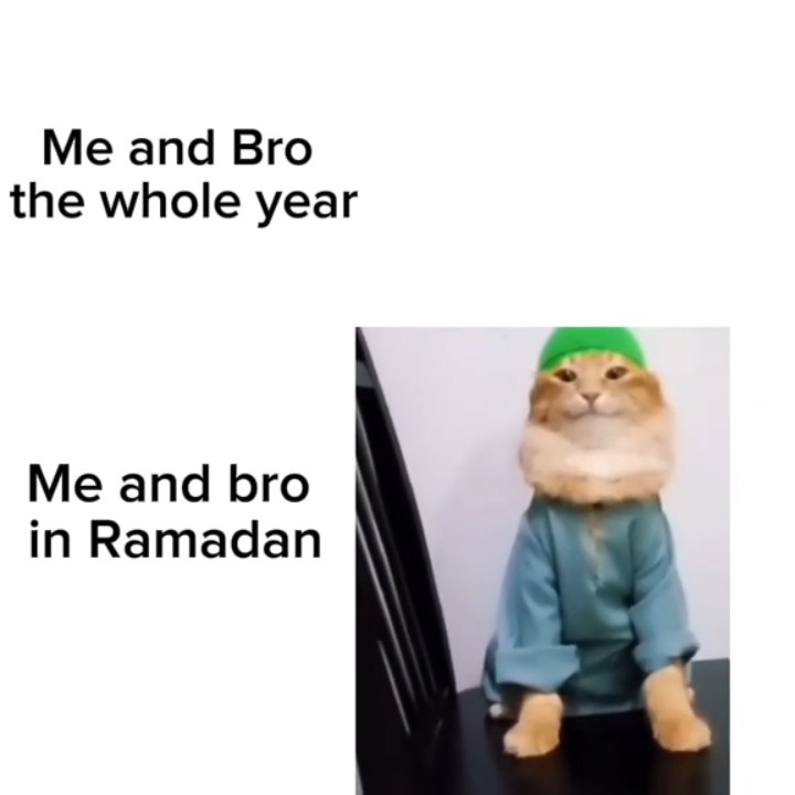 Real😆 #cat #ramadan #ramzan - YouTube