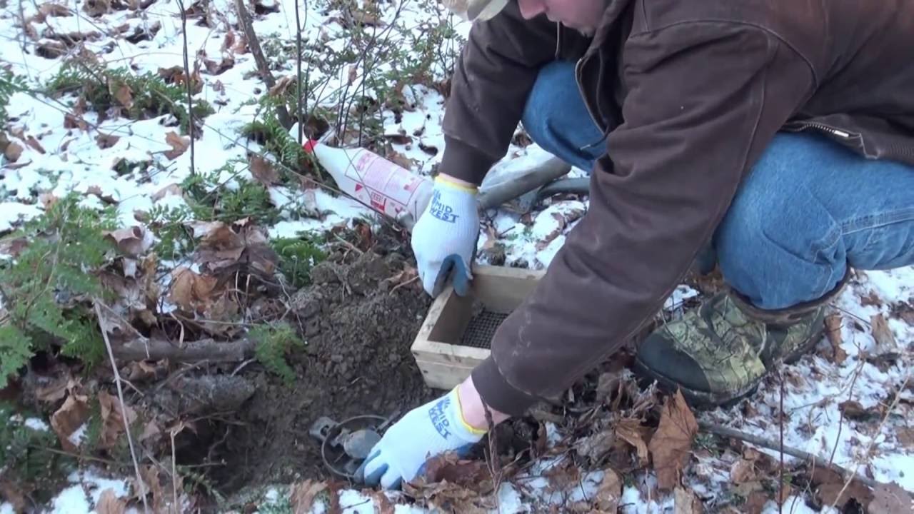 Fox Trapping - YouTube