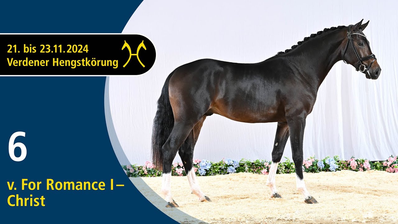 No. 6 Stallion by For Romance I - Christ | Verden Stallion Licensing ...