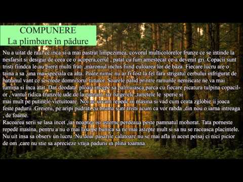 Compunere padure - YouTube