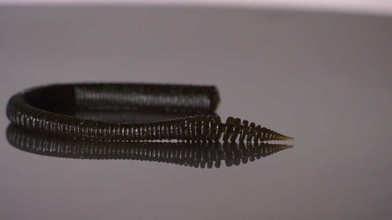 Vista Worm 147 - YouTube