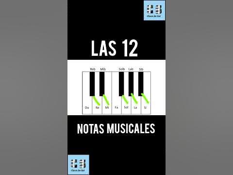 LAS 12 NOTAS MUSICALES #musica #teoriamusical #piano #notasmusicales - YouTube