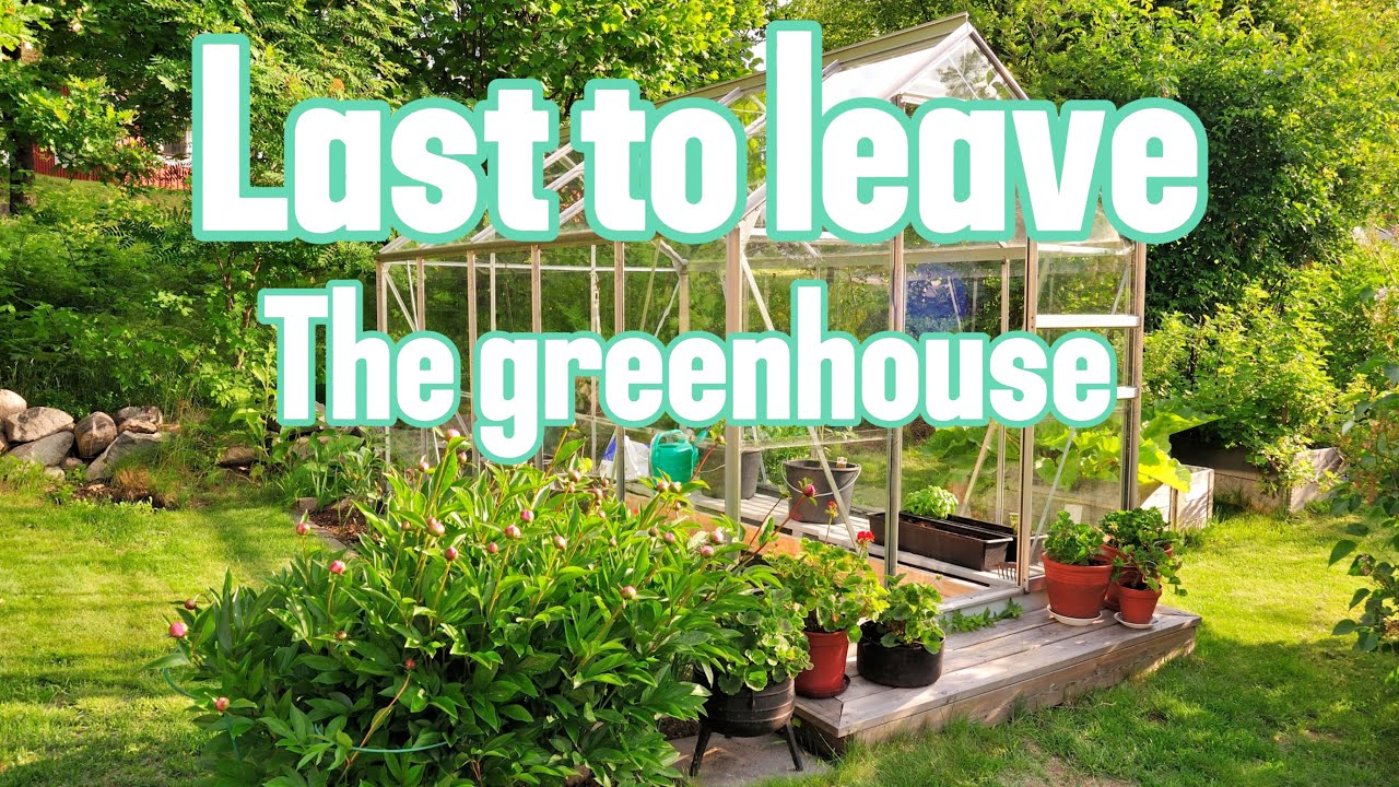 Last to leave the greenhouse challenge!! - YouTube
