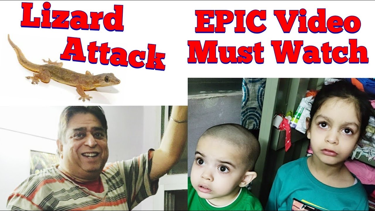 Lizard Attack 🦎 | Papa Ne Bacha Liya | Very Funny Video, Must Watch # ...