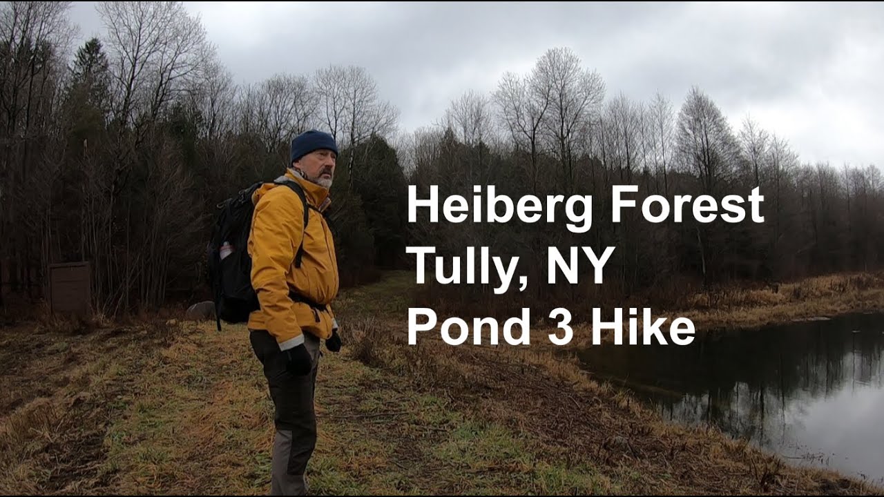 Heiberg Forest, Tully, NY - Pond 3 Hike - YouTube