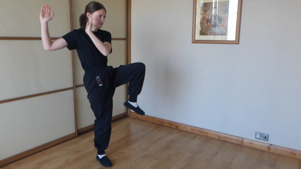 Li Style Tai Chi Form moves 115-118: The Wild Horse Resists - YouTube