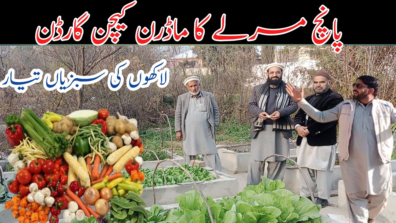 How To Make A Modern Kitchen Garden/How to Grow Vegitables - YouTube