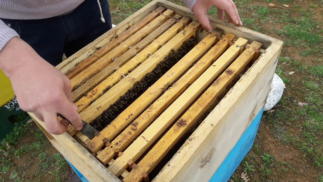 Bletet ne 17.03.2018 Erik Sheno - YouTube