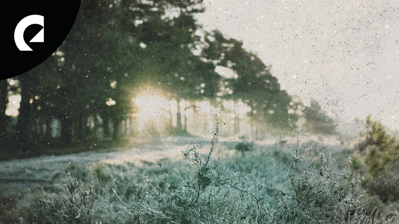 Roy Edwin Williams - New Roots (Royalty Free Music) - YouTube