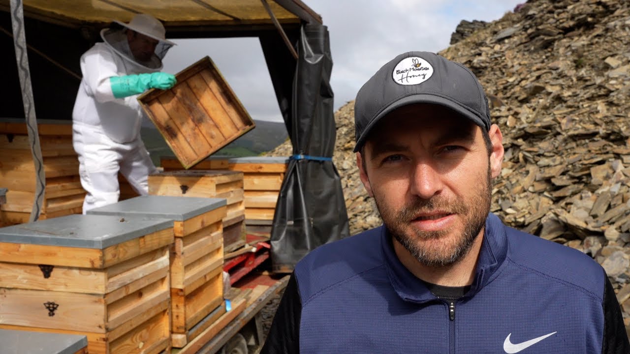 The Highs And Lows Of Beekeeping At The Heather! - YouTube