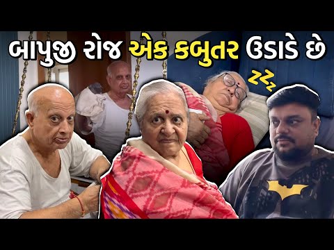 બાપુજી રોજ એક કબુતર ઉડાડે છે | Anand sata Vlog 1359