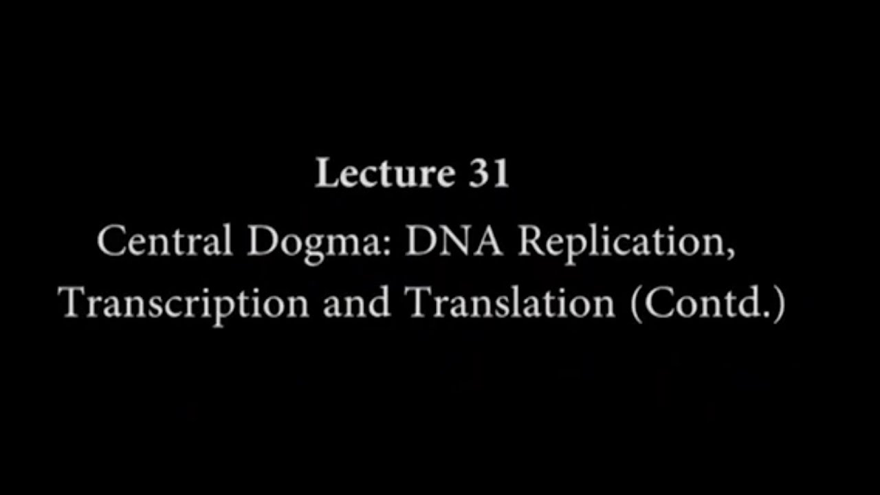 Central dogma: DNA replication, transcription and translation ((Contd ...