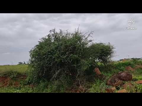 mrg nature at fields 😍😍😘