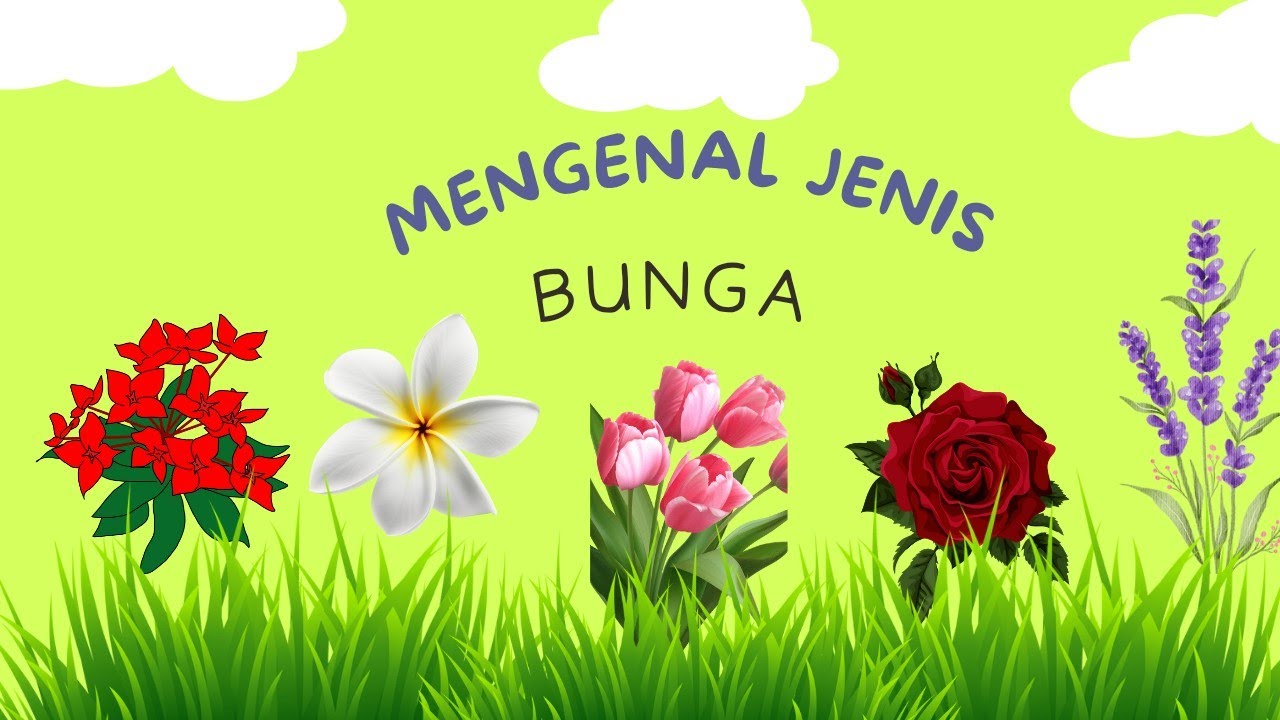 Belajar Mengenal 12 Jenis Bunga - YouTube