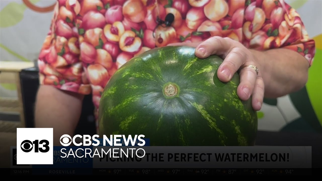 How to pick the perfect watermelon | Lunch Break with Michael Marks ...