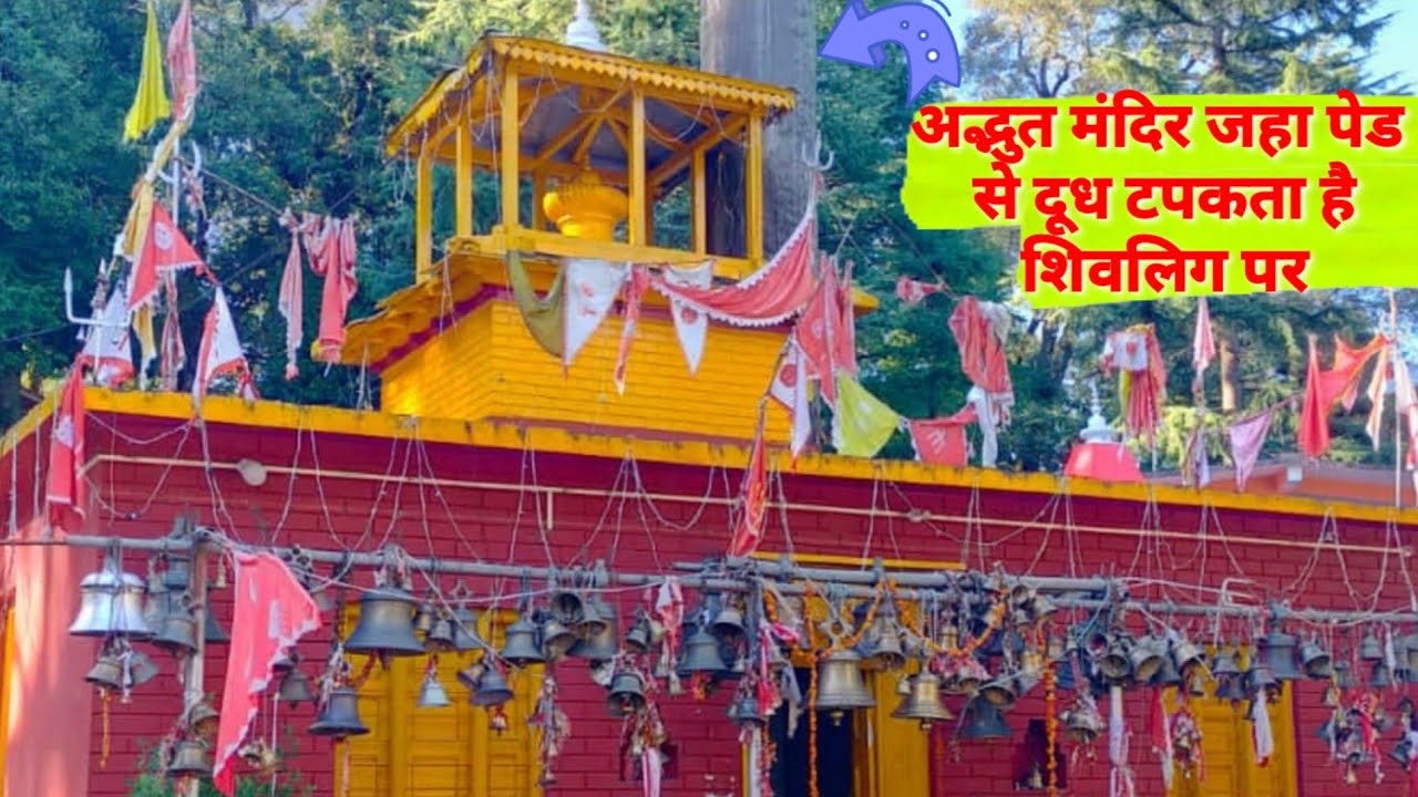 महादेव का मंदिर जहा पेड से दूध टपकता है शिवलिग पर | Jhakar Saim Temple ...