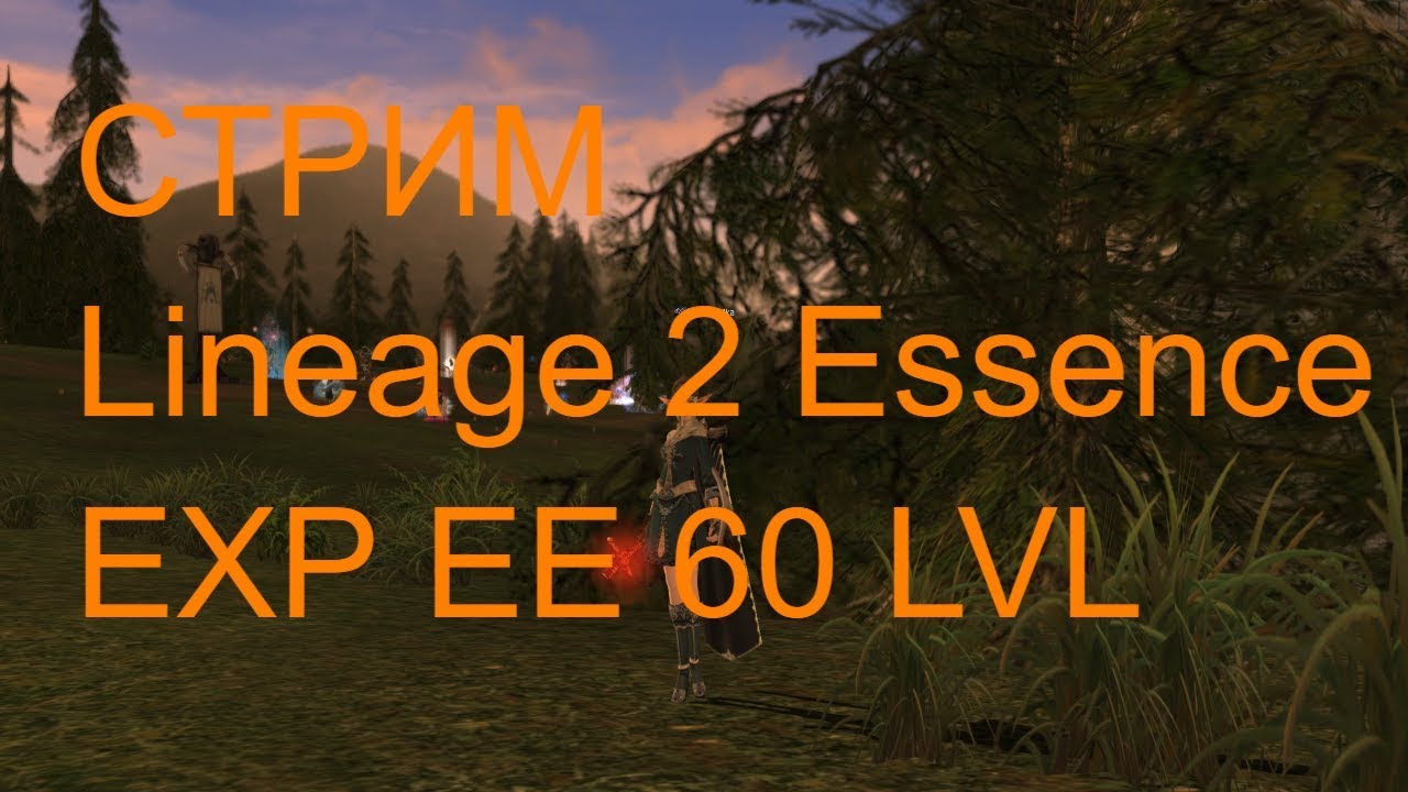 Lineage 2 Essence - ЕЕ 60 LVL EXP Розыгрыш Заточка - YouTube