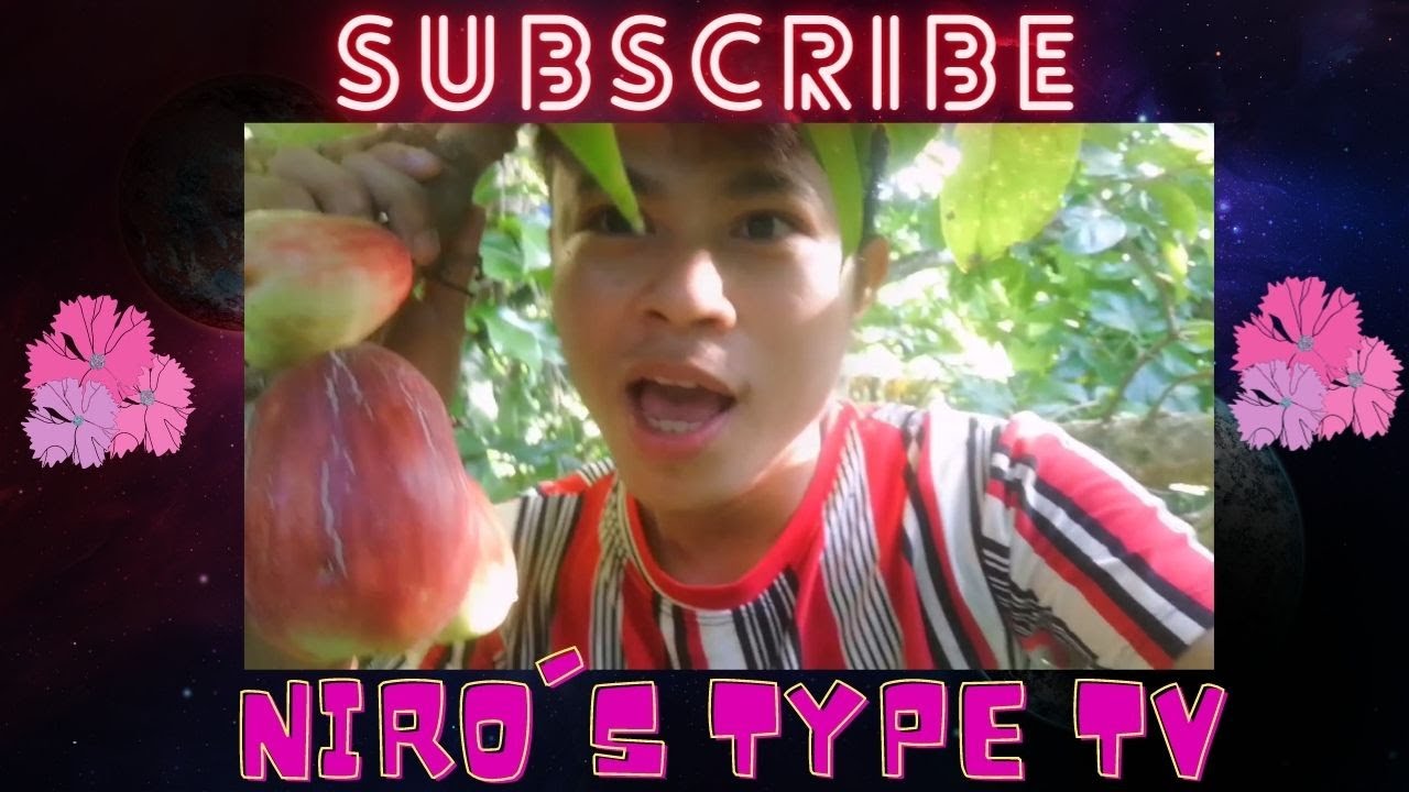 EATING MAKUPA FRUIT ABOVE IN THE TREE - YouTube