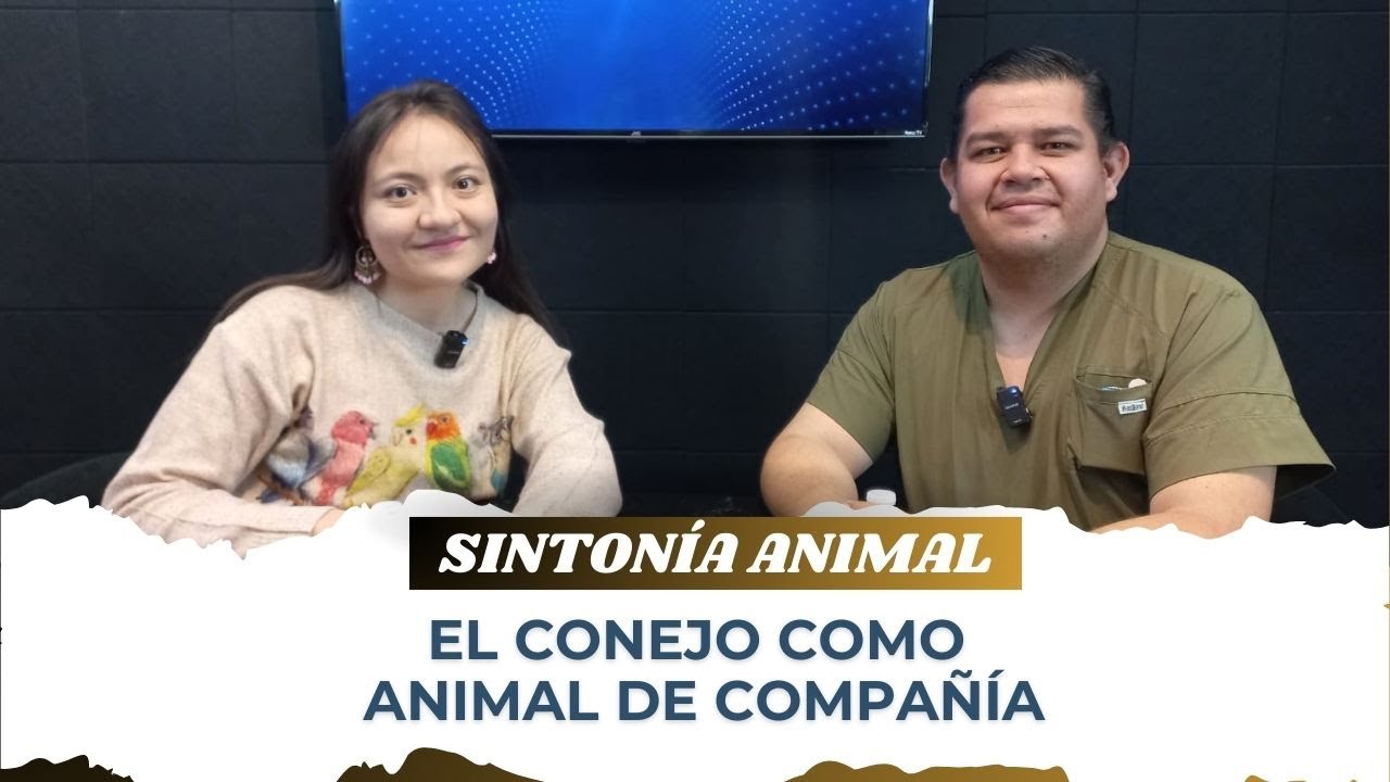 Los conejos | SINTONÍA ANIMAL con Rebeca Dávila #30 - YouTube