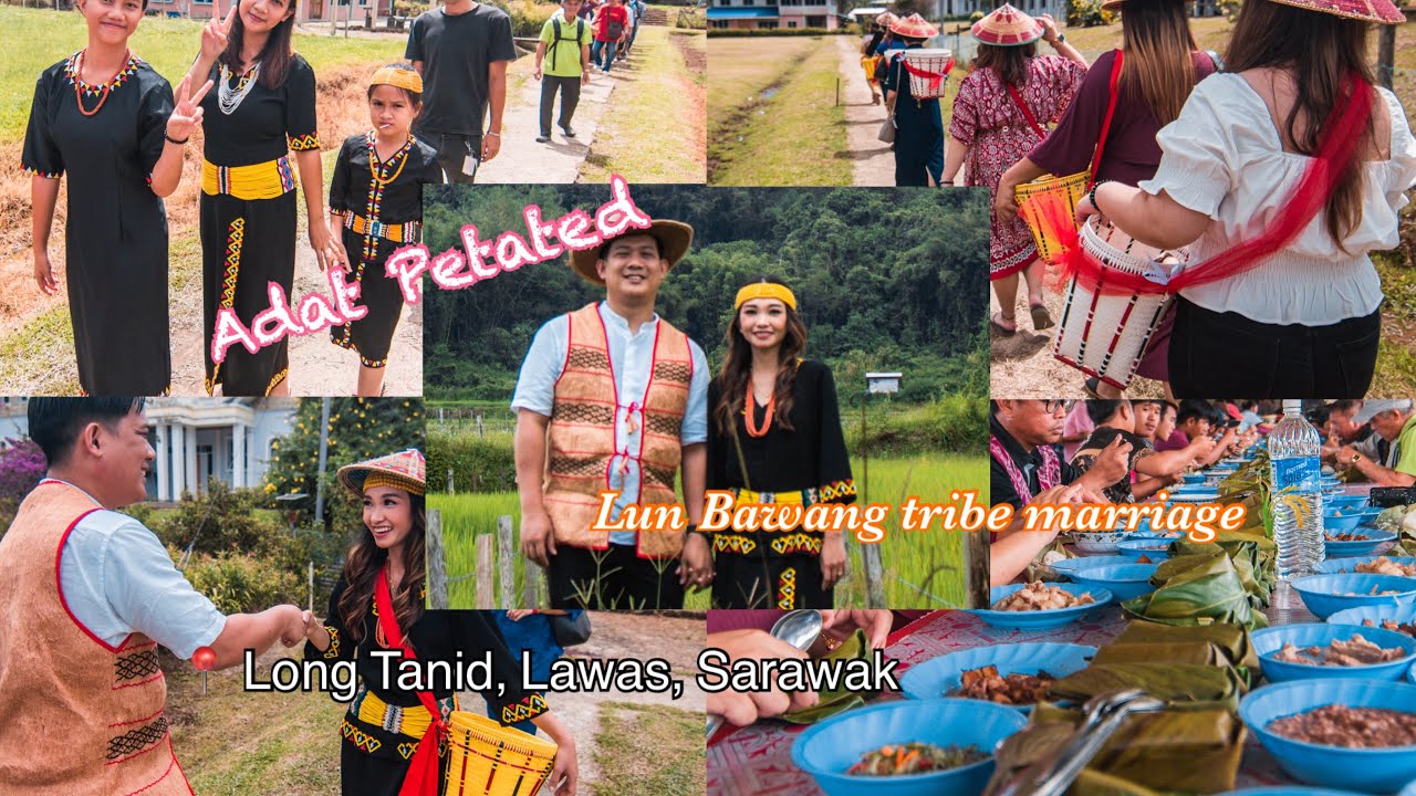 Adat Petated (Lun Bawang tribe wedding ceremony) celebration 🌾 at Long ...