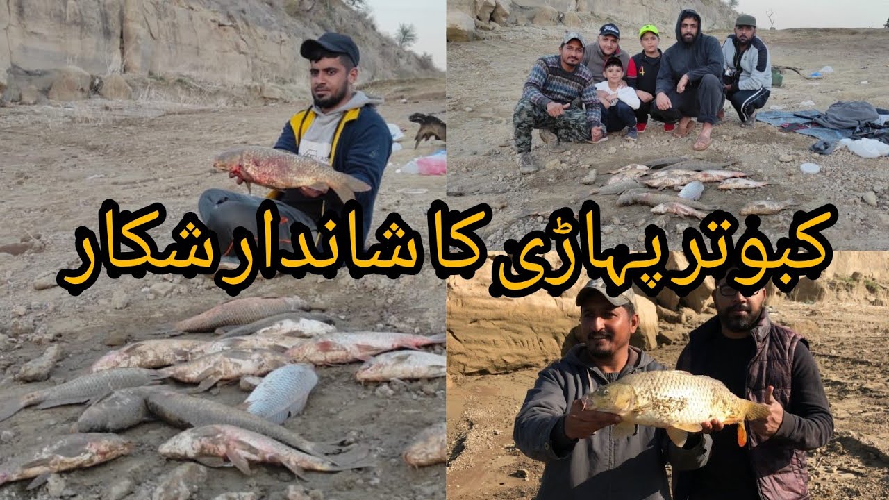 Kabotar Pahari Fishing Point | Outstanding Carp Fish Hunting | Mangla ...