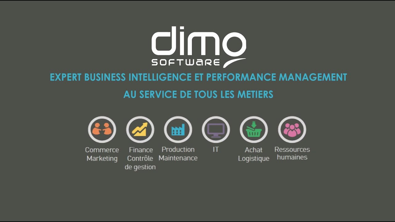Découvrez l'expertise Business analytics de DIMO Software - YouTube