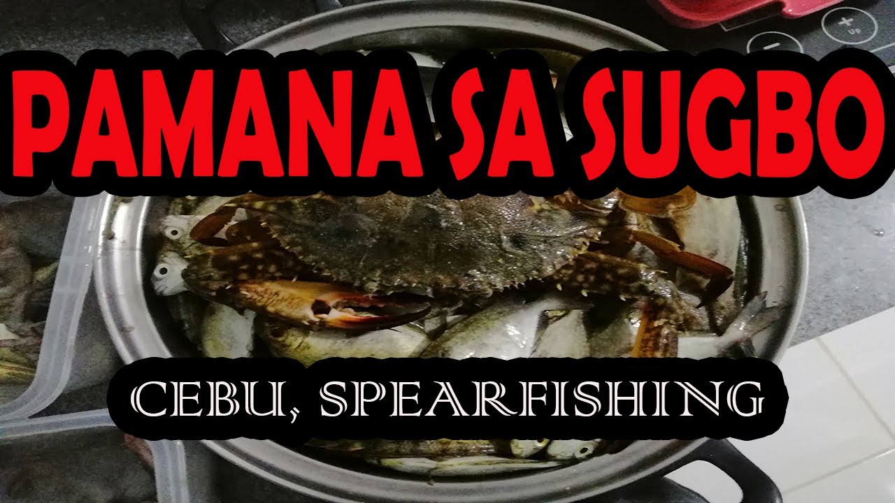 NIGHT Spearfishing Catch a Lot of DANGGIT or Rabbitfish and "LAMBAY" or ...