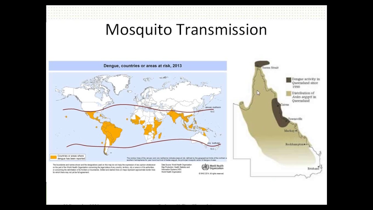 Zika virus update for health professionals (12 December 2016) - YouTube