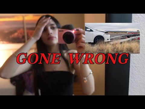 Road trip to Mexico… GONE WRONG❗️