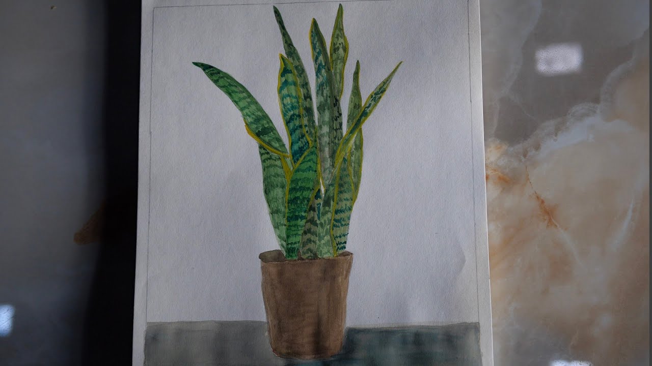 Snake Plant Painting - YouTube
