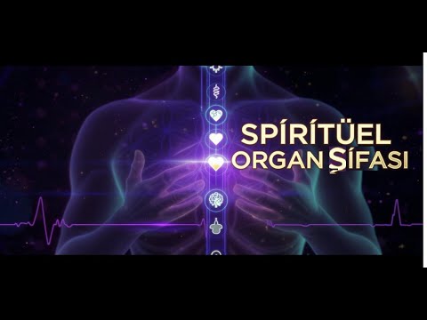 ORGAN ŞİFASI DERİN MEDİTASYONU Beyin ve Duygular Arasındaki Şaşırtıcı Bağ!