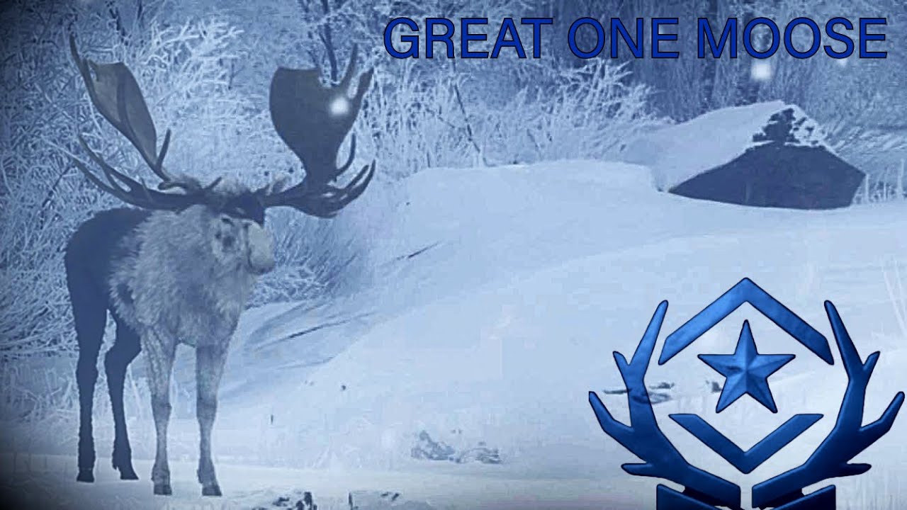 FINALLY TAKING DOWN MY 2ND BEAUTIFUL GREAT ONE MOOSE-hunter call of the ...