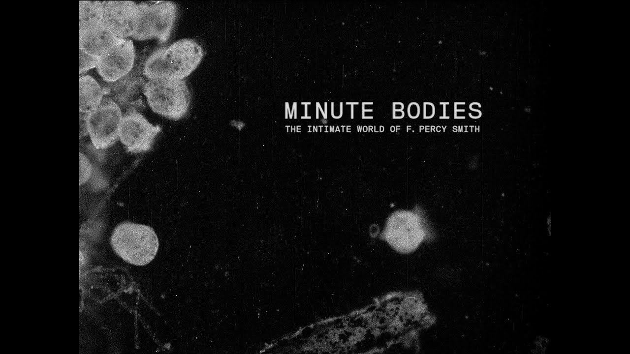 MINUTE BODIES: THE INTIMATE WORLD OF F. PERCY SMITH Trailer - YouTube