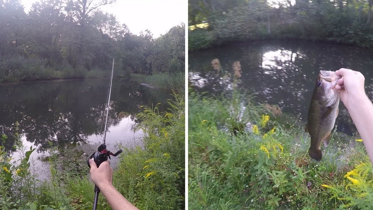 Fishing a TINY Pond For Largemouth Bass! - YouTube