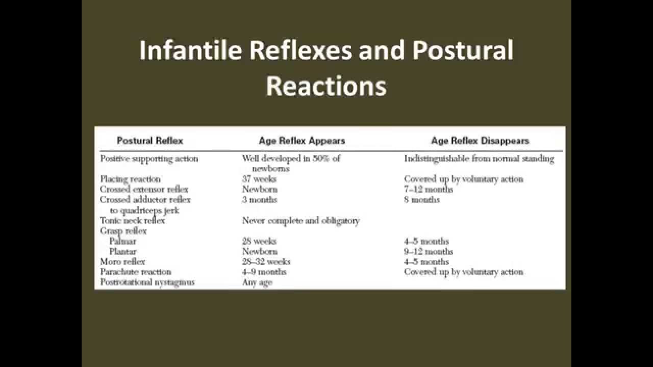 Infantile Reflexes and Postural Reactions - YouTube