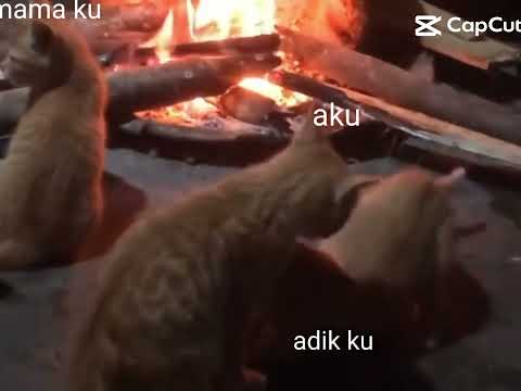 Kebiasaan aku sama adik ku