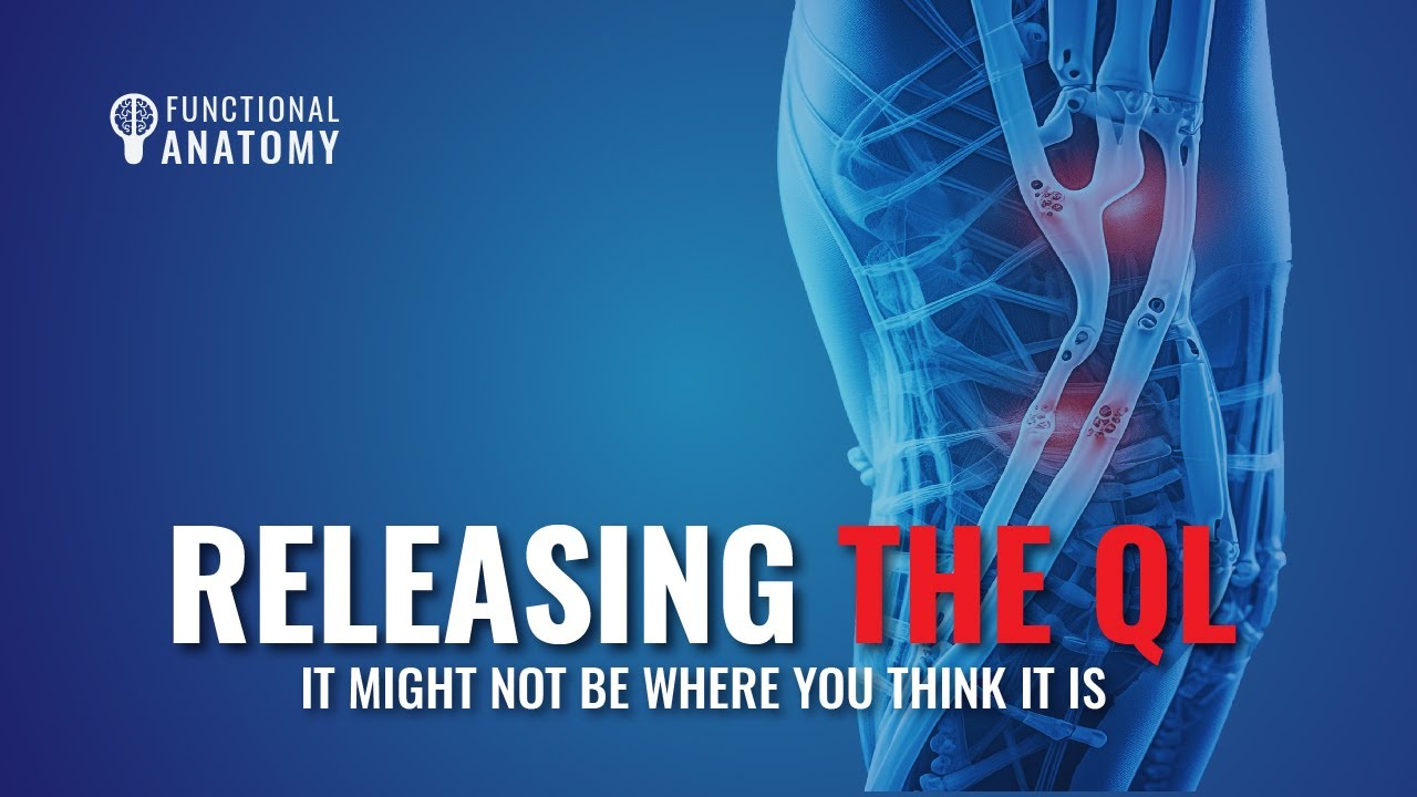 Releasing the QL - YouTube