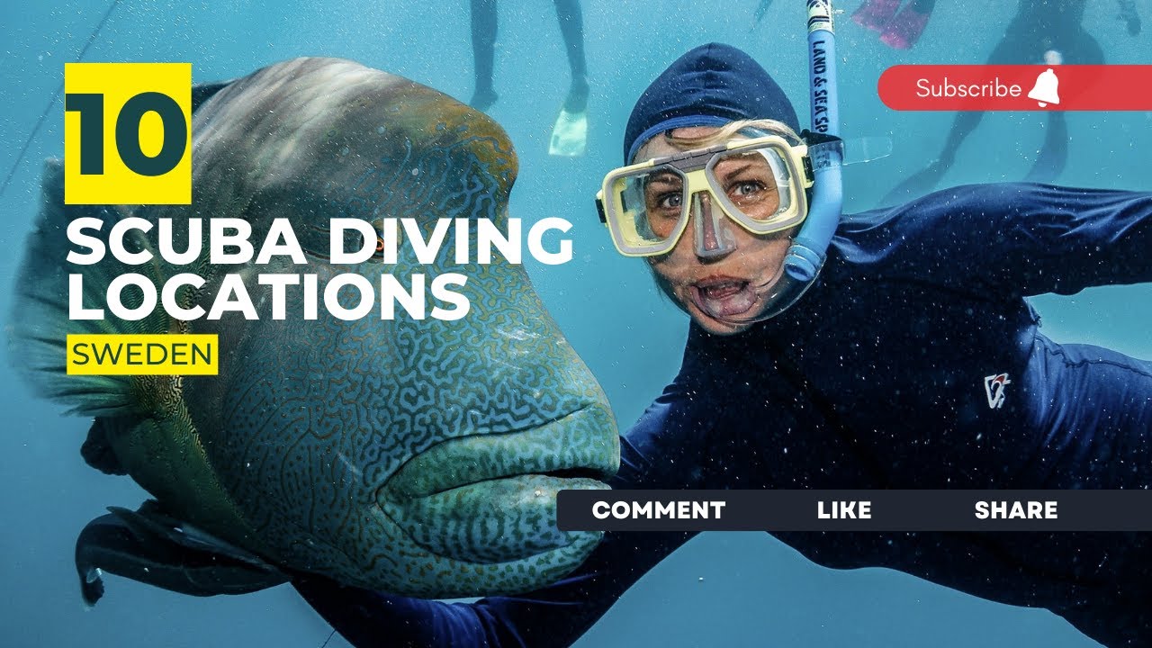 [2023] Sweden Dive Sites That Will Blow Your Mind: Top Scuba Diving ...