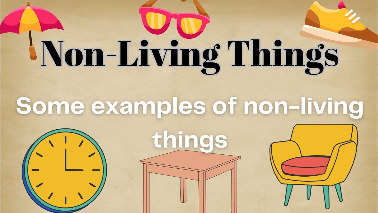 General Awareness: Non-Living Things | Some examples of non- living ...