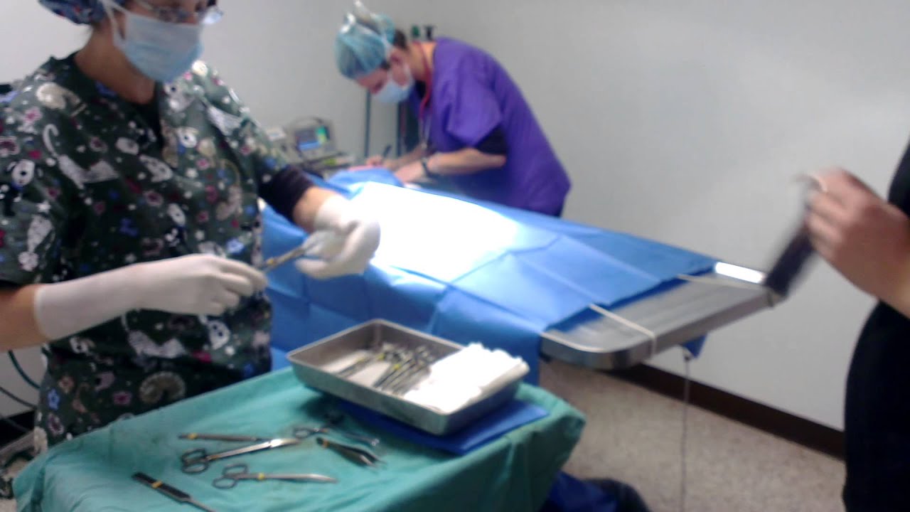 Aseptically pass instrument - YouTube