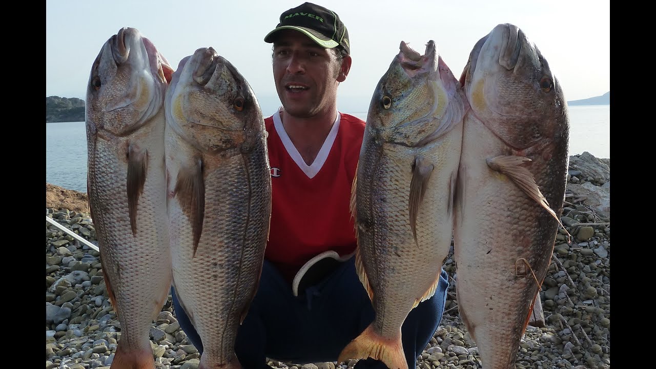 ΕΠΙΧΕΙΡΗΣΗ "ΨΑΡΕΜΑ ΣΥΝΑΓΡΙΔΑΣ" !!! ΕΥΚΟΛΑ ΚΑΙ ΔΥΣΚΟΛΑ!!! HEAVY CASTING ...