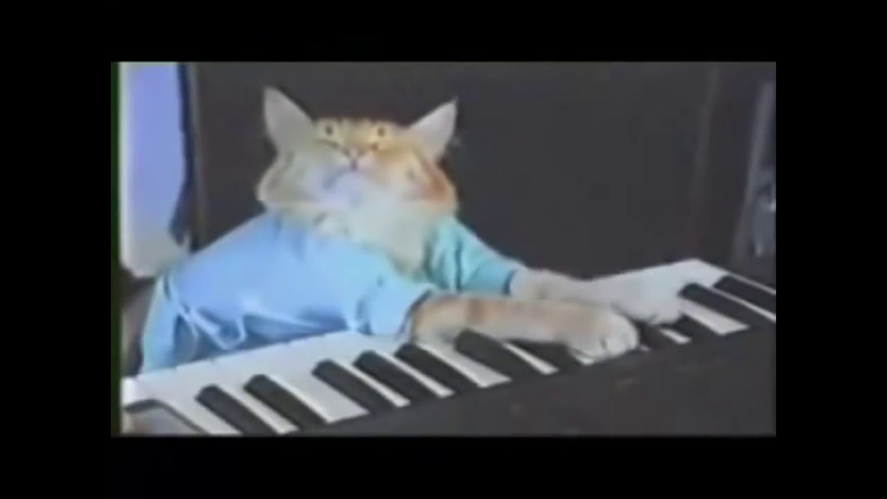 10 HORAS DE EL GATO TOCANDO PIANO - YouTube