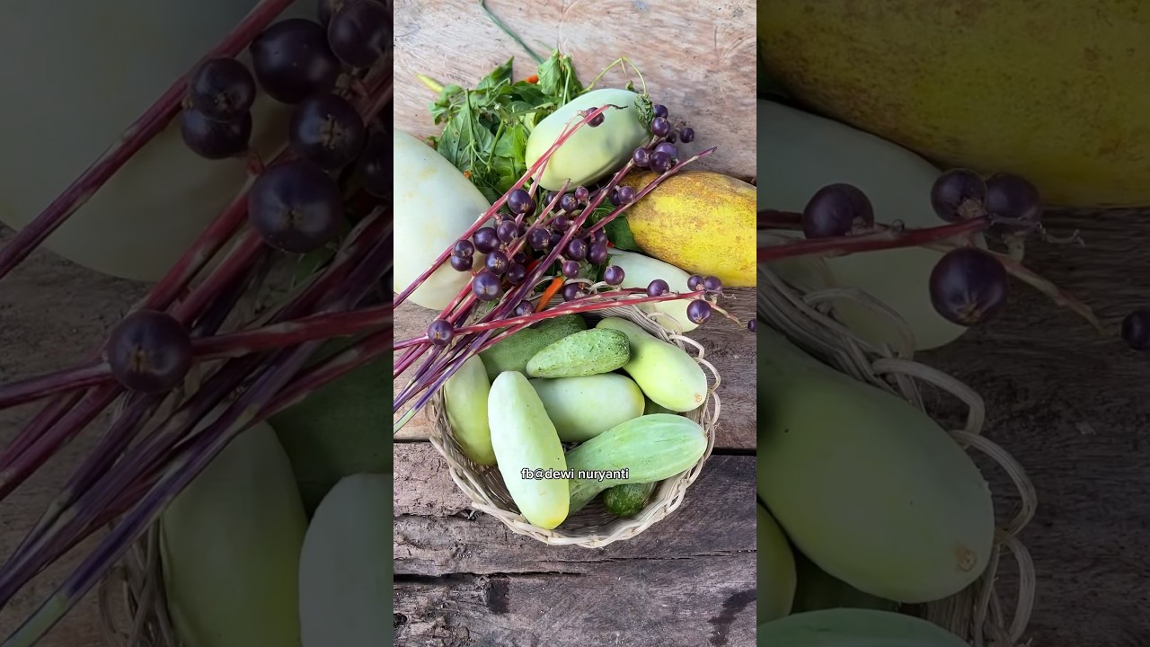 part 2 merujak timun kampung dan buah liar di Ladang, aktifitas anak ...